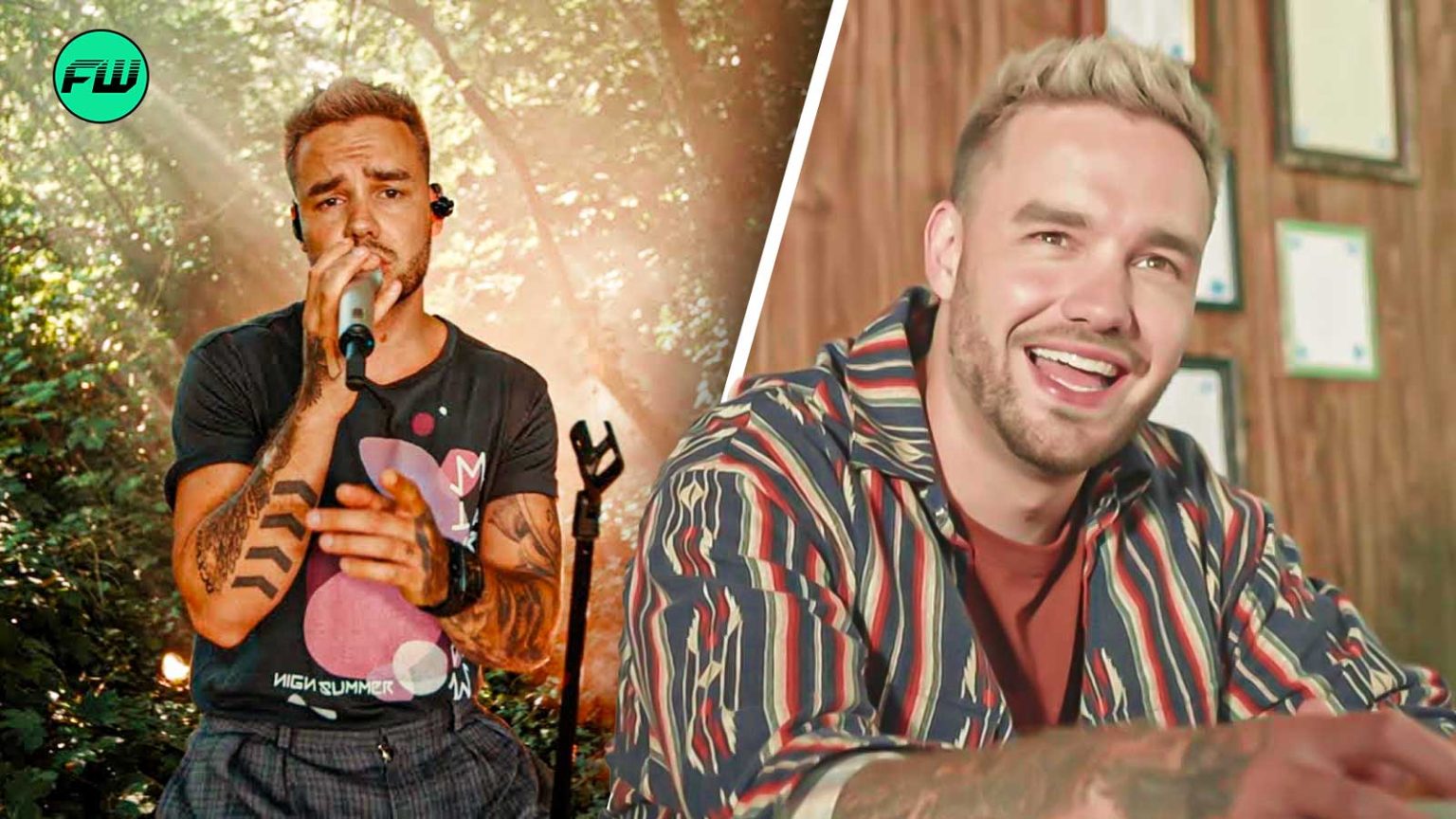 Liam Payne's Unreleased Song: Lyrics and Release Date Revealed