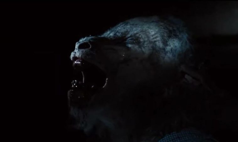 Black Sheep 2: Plot and All We Know About the Sequel to Nathan Meister ...