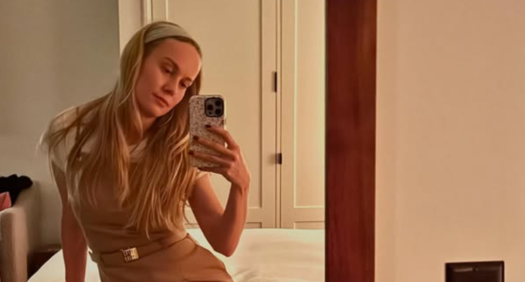 Brie Larson is Afraid of Being Rejected for Her Terrible Personality ...
