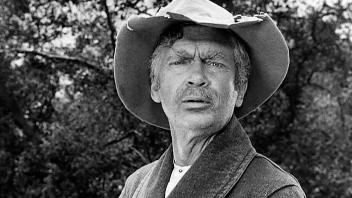 Looking Back at the Unfortunate Incident Which Forced Buddy Ebsen Out ...