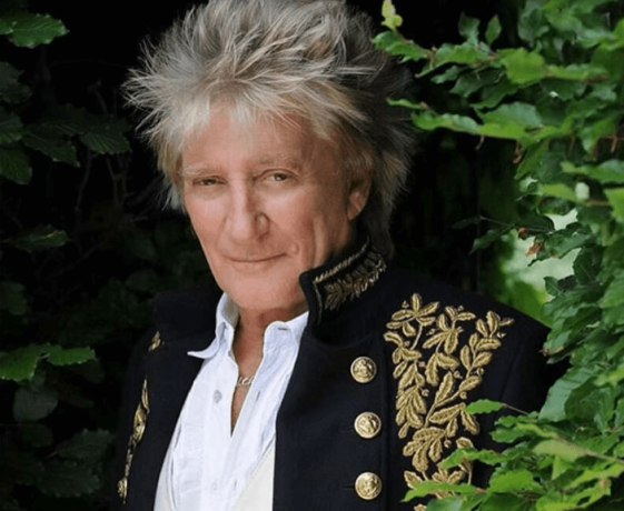 “You humiliated my wife”: Rod Stewart Blasts ‘Bald Headed’ Gregg ...