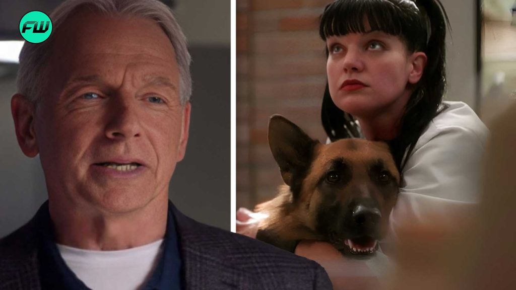 A Frustrating NCIS Episode Seemingly Predicted Pauley Perrette and Mark ...