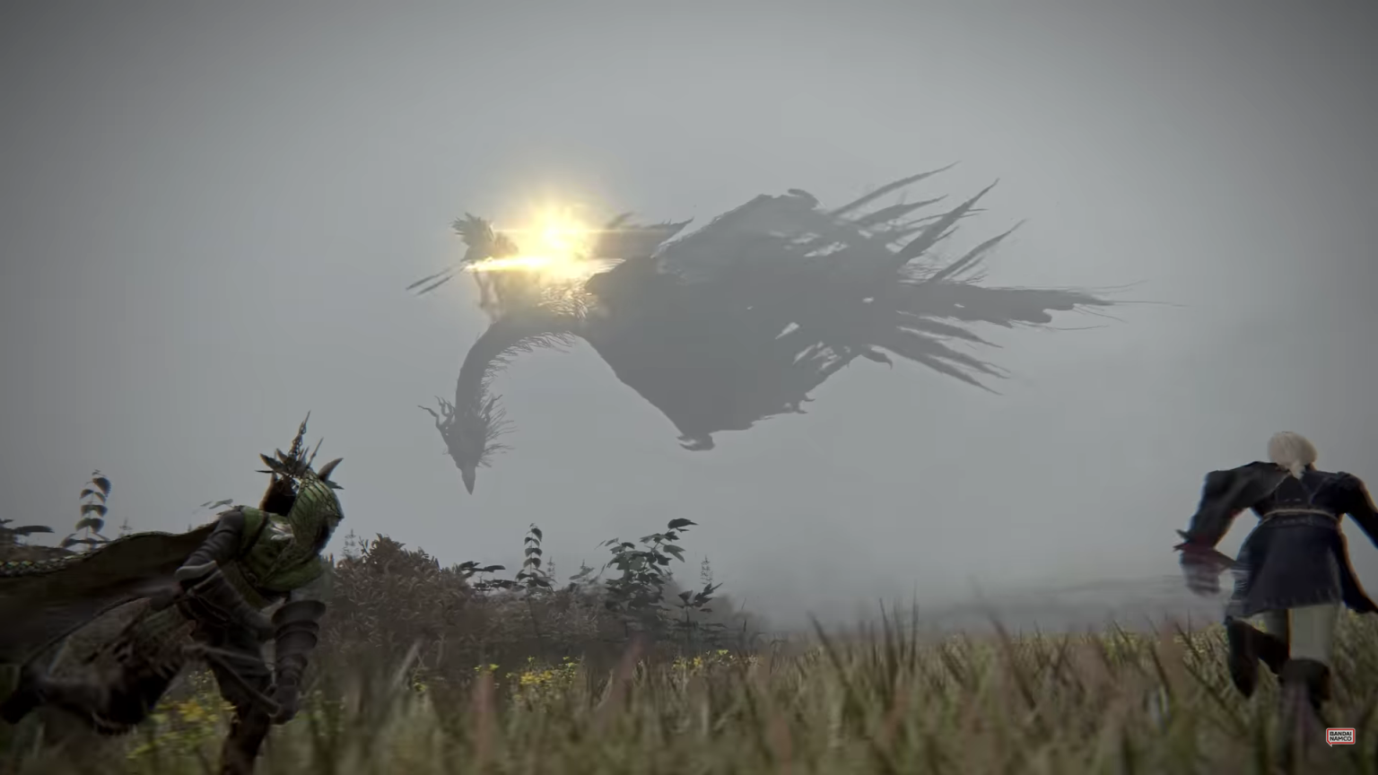 Elden Ring Nightreign: How Powerful Will the Nameless King Be In Elden ...