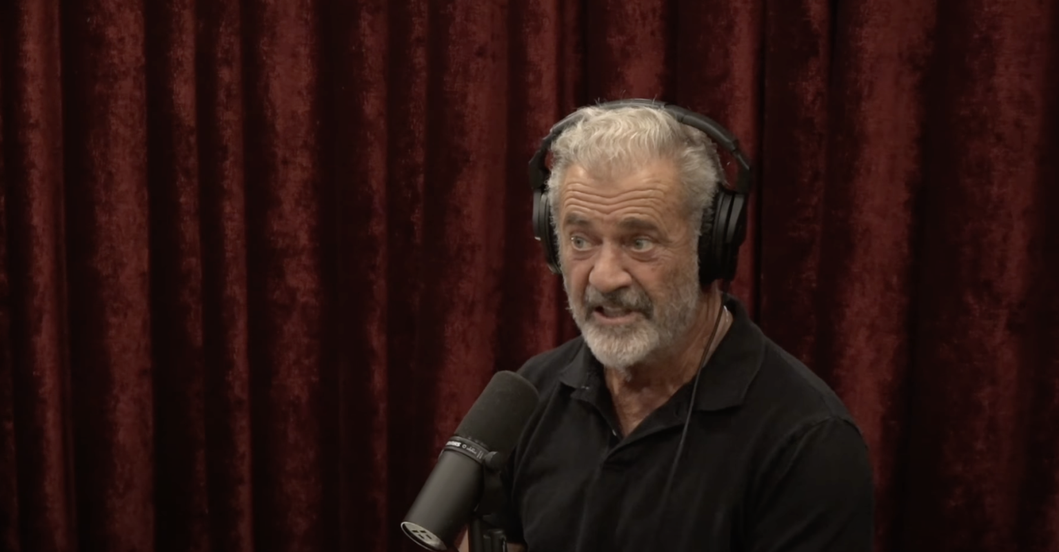 "He's been covering up for people who are child m*lestors": Mel Gibson ...