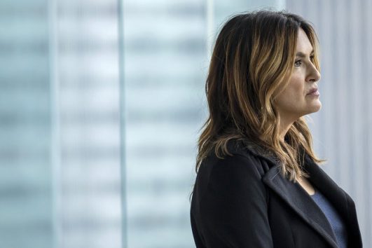Law & Order: Mariska Hargitay's New Record Confirms Her Star Power ...
