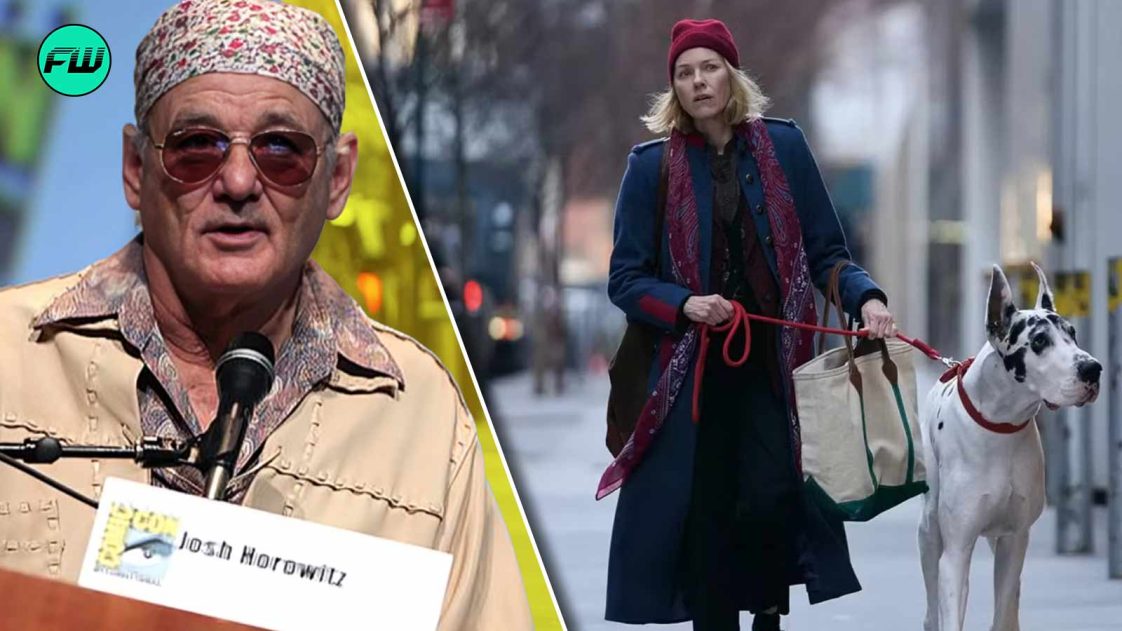 The Friend: Cast, Release Date, Plot, and All We Know About Bill Murray ...