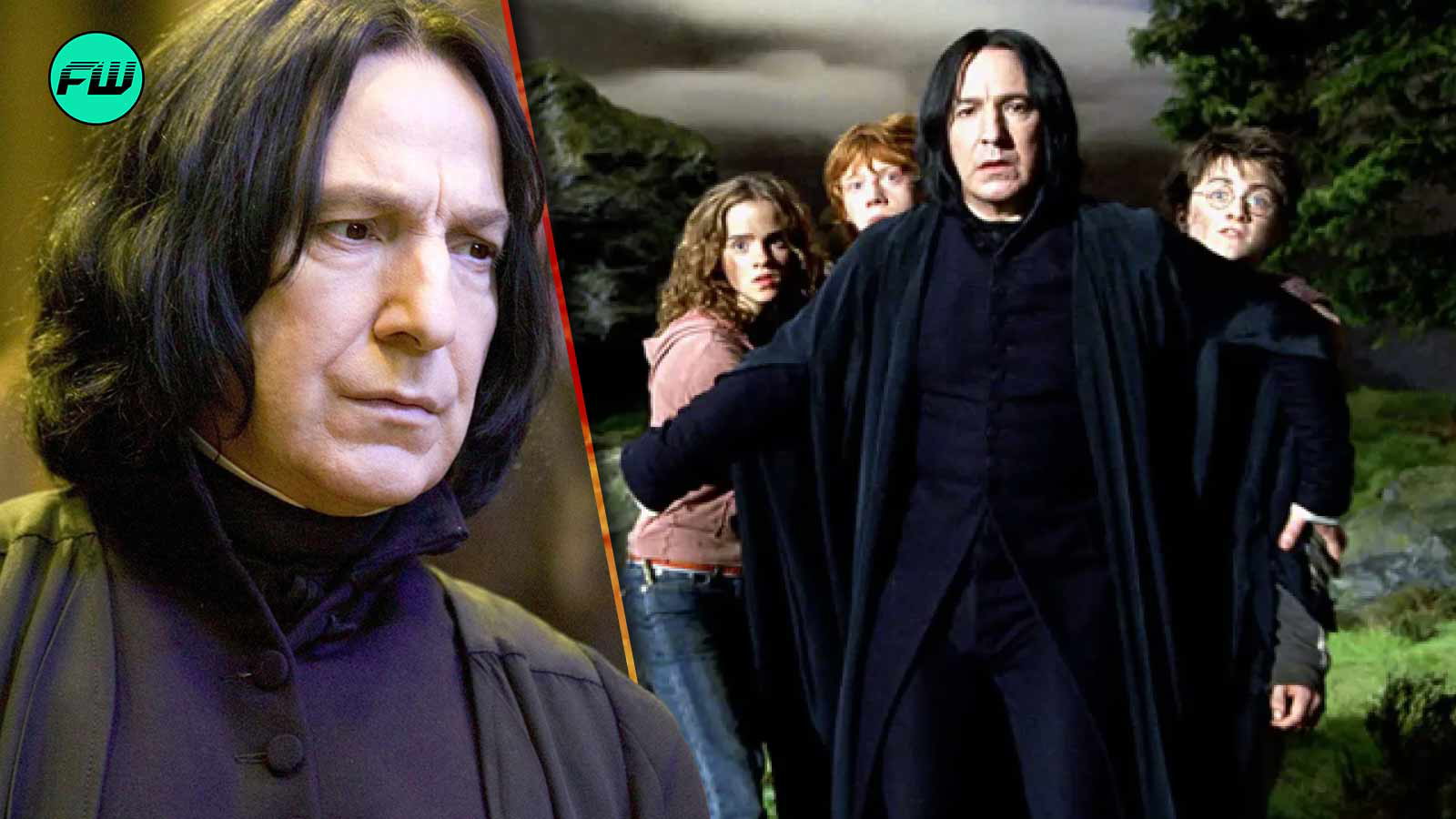 Alan rickman harry potter store