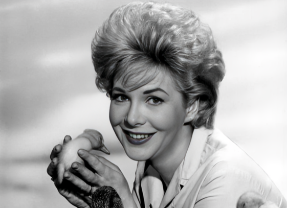 Remembering Jan Shepard: Her Iconic Role in Elvis Presley Films and ...