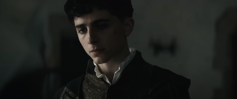 Timothée Chalamet’s Most Serious Looking Movie Poster Reportedly Has a ...