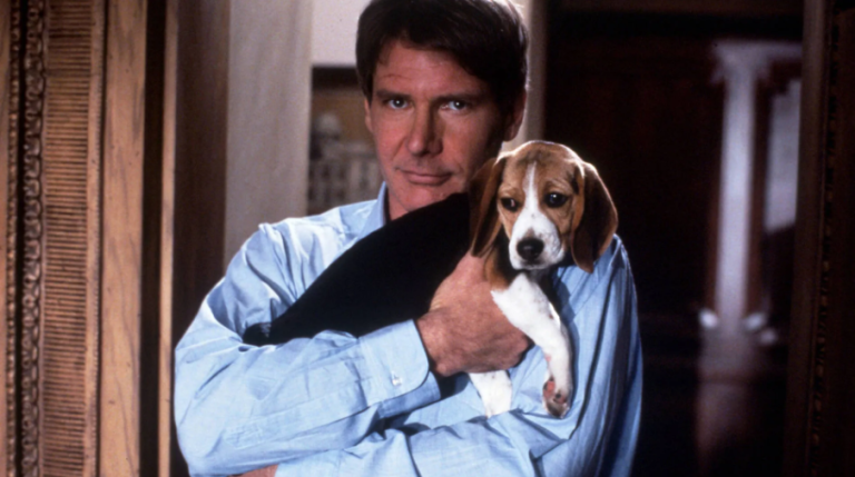 10 Iconic Roles Played by Harrison Ford: From Jack Trainer to Indiana Jones