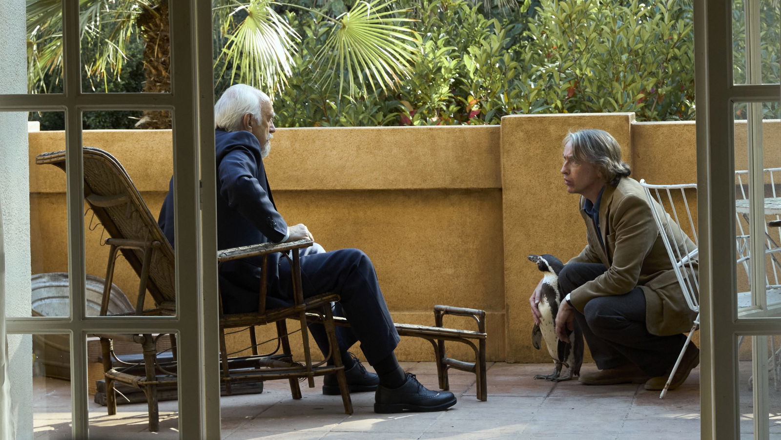 The Penguin Lessons Review — Steve Coogan Charms in Lovable "Man and ...