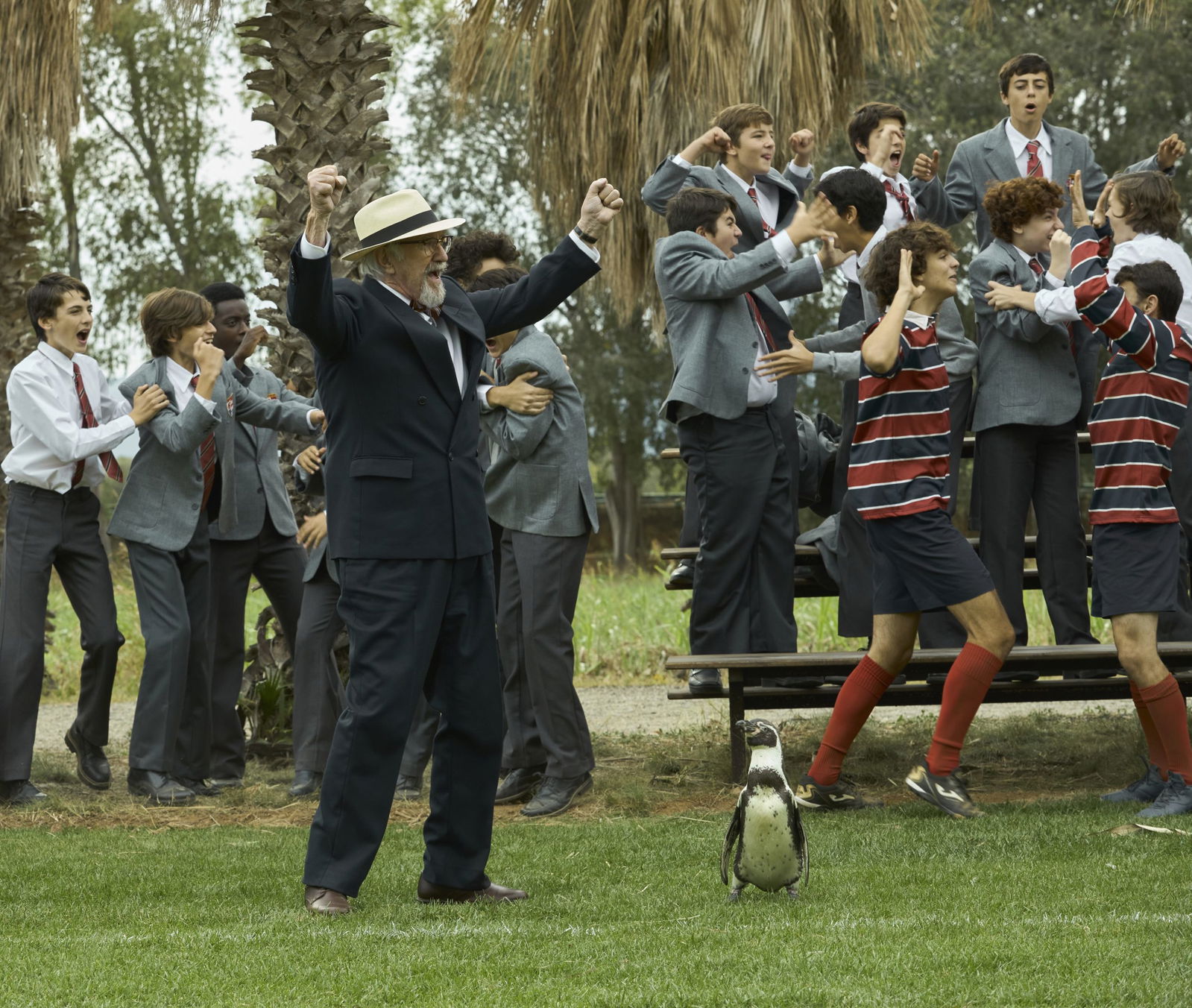 The Penguin Lessons Review — Steve Coogan Charms in Lovable "Man and ...