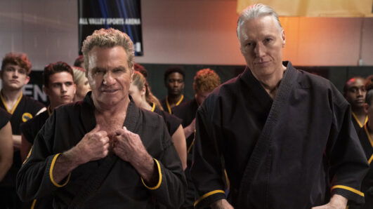 “I don’t think that would’ve worked”: Cobra Kai Terry Silver Actor Had ...