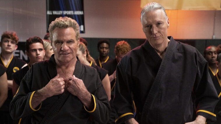 “I don’t think that would’ve worked”: Cobra Kai Terry Silver Actor Had ...