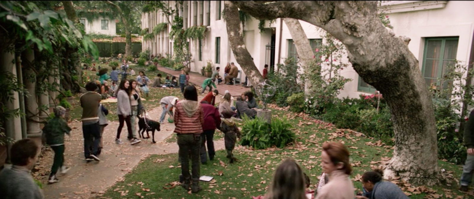 Sandra Bullock’s ‘Bird Box’ Stigmatized Mental Illness When an ...