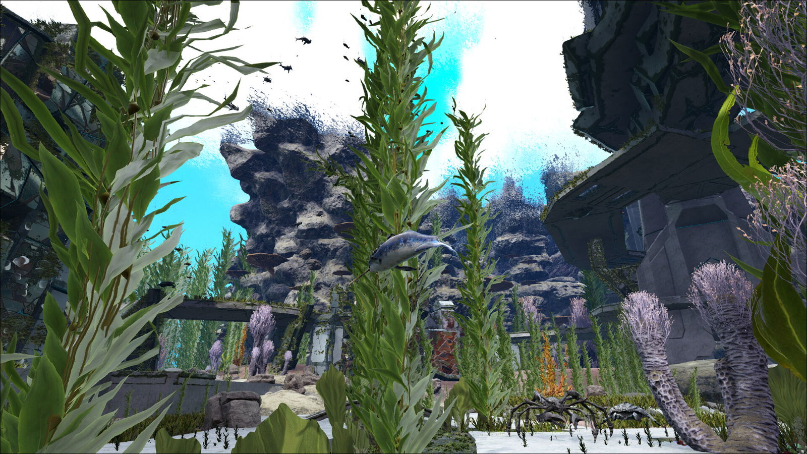 "We did not know that they were doing it": ARK Dev Conveniently Shifts ...