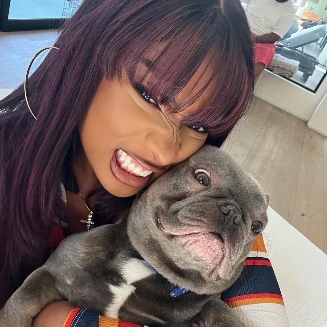 Hollywood's Biggest Dog Lovers: 50 Celebrities Who Love Their Furry Friends