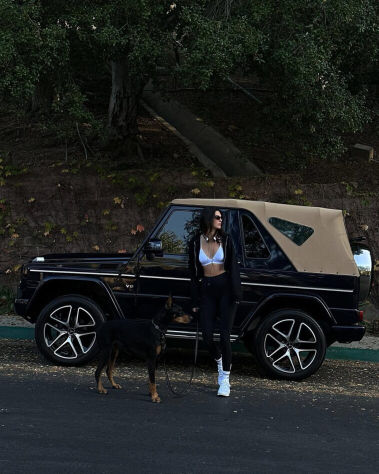 Hollywood's Biggest Dog Lovers: 50 Celebrities Who Love Their Furry Friends