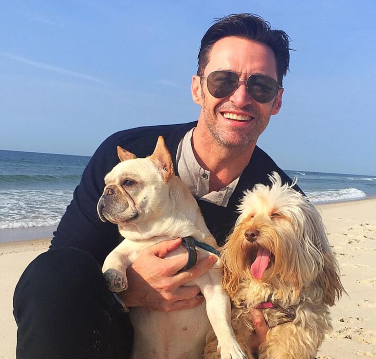 Hollywood's Biggest Dog Lovers: 50 Celebrities Who Love Their Furry Friends