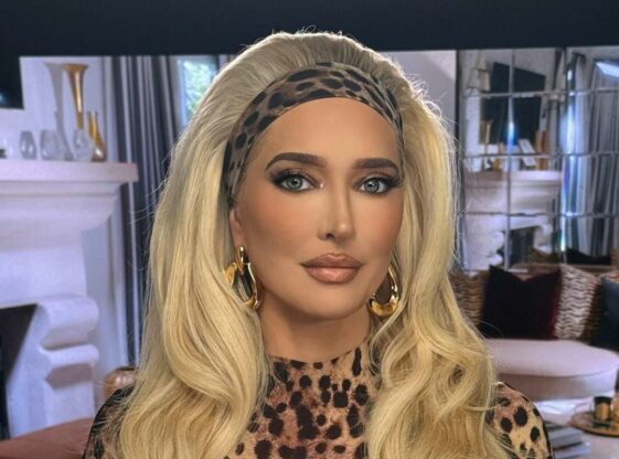 Why is Erika Jayne Going on a Legal Trial? Everything You Need to Know ...