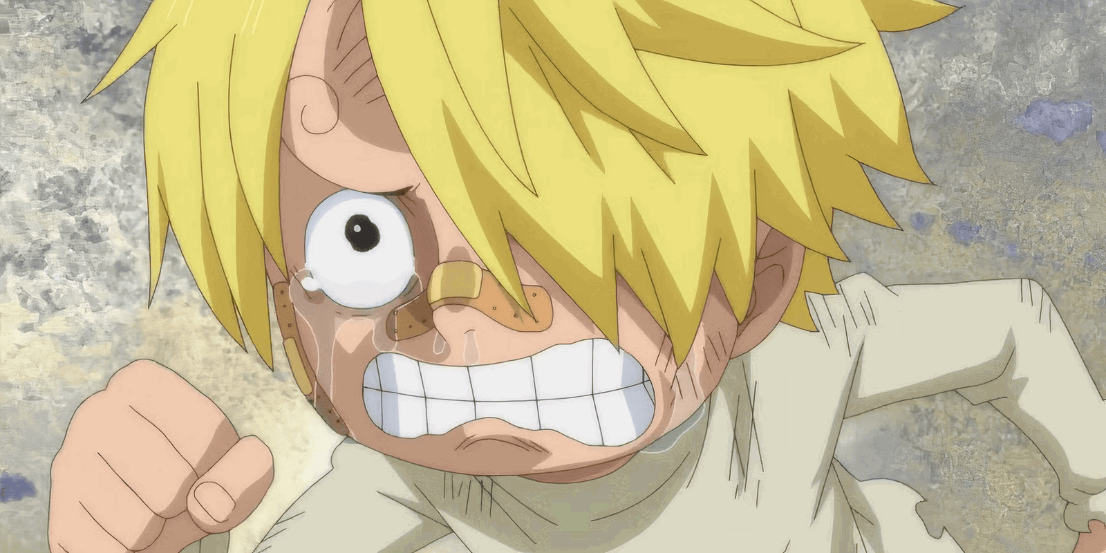 "I kind of wish I could avoid": 'One Piece' Voice Actor Couldn't Escape ...