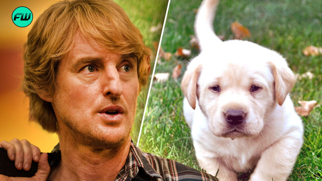17 Years Ago, Owen Wilson's Career Peaked With a $247M Movie That Hired ...