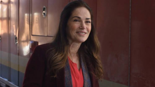 ‘Chicago Fire’: Jennifer Sheridan Actor Kim Delaney Arrested, Here’s ...