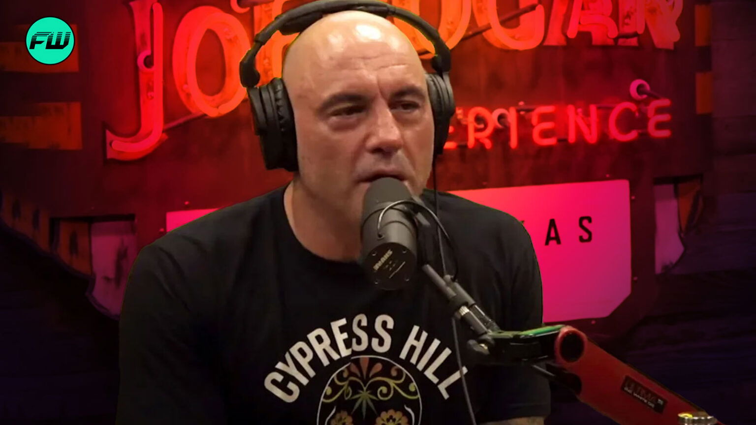 Joe Rogan Destroyed a Comedian's Career by Exposing His Cheap Tricks In ...