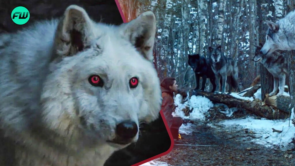 Dire Wolves Are No Longer Extinct After 12000 Years, and That Makes Me ...