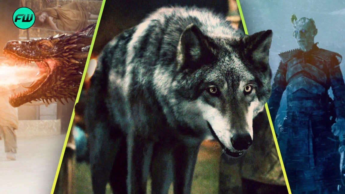 Dire Wolf Brought Back From Extinction: What are the Game of Thrones ...