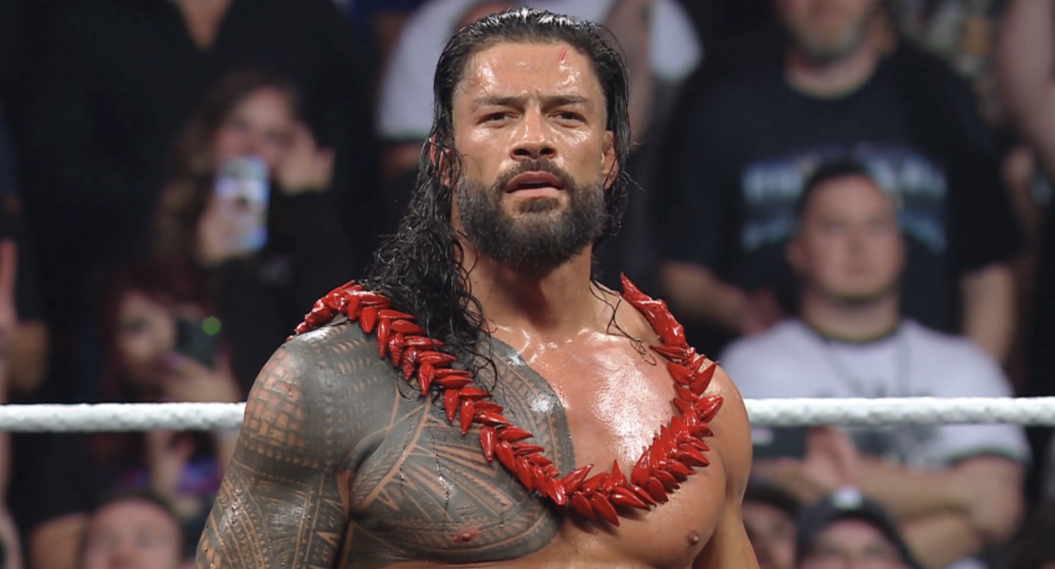 Roman Reigns' Family Tree: Exploring the Anoa'i Family in WWE