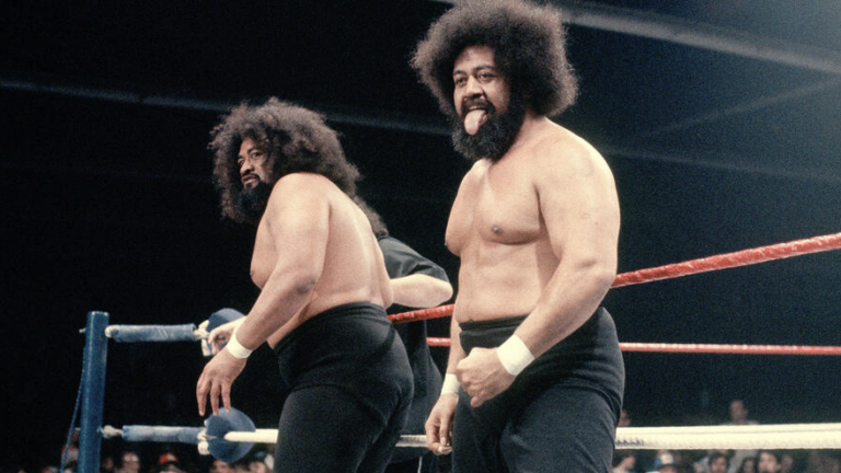 Roman Reigns' Family Tree: Exploring the Anoa'i Family in WWE