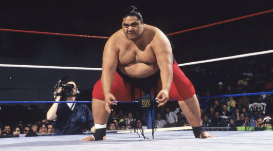 Roman Reigns' Family Tree: Exploring the Anoa'i Family in WWE