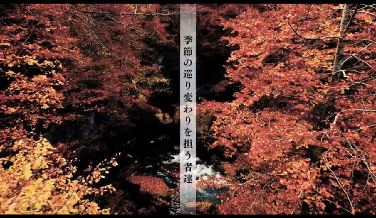 'Agents of the Four Seasons' by 'Violet Evergarden' Creator Set to Get ...