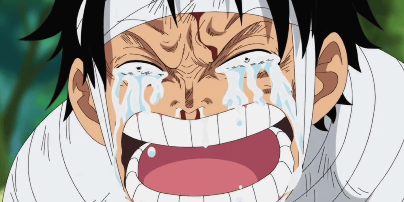 One Piece Won’t Last Without Mayumi Tanaka After Luffy VA Made the ...