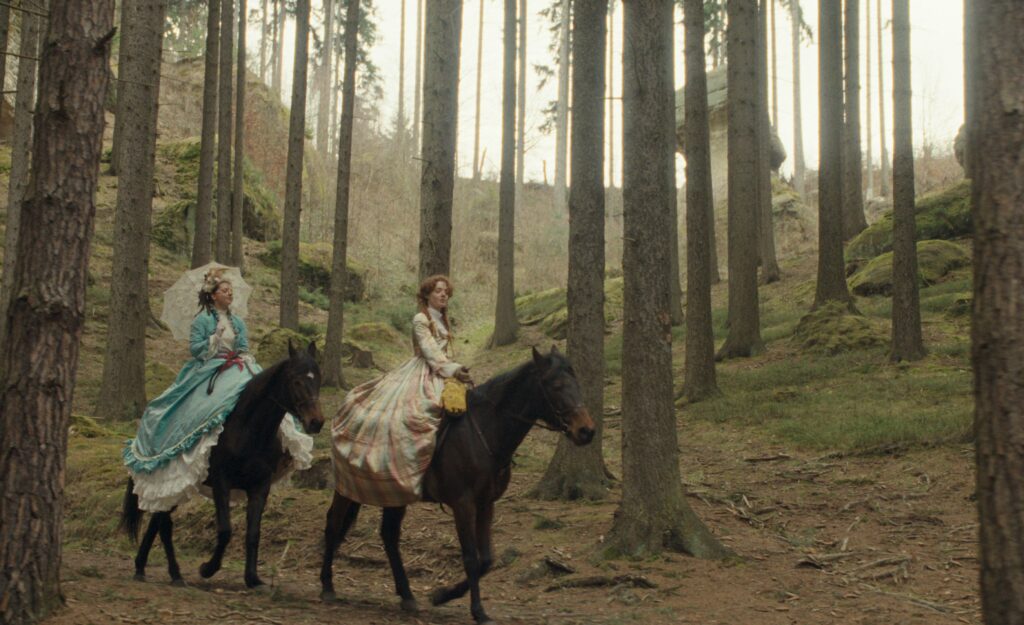 The Ugly Stepsister Review — Gory Delight or Disappointing Mess?