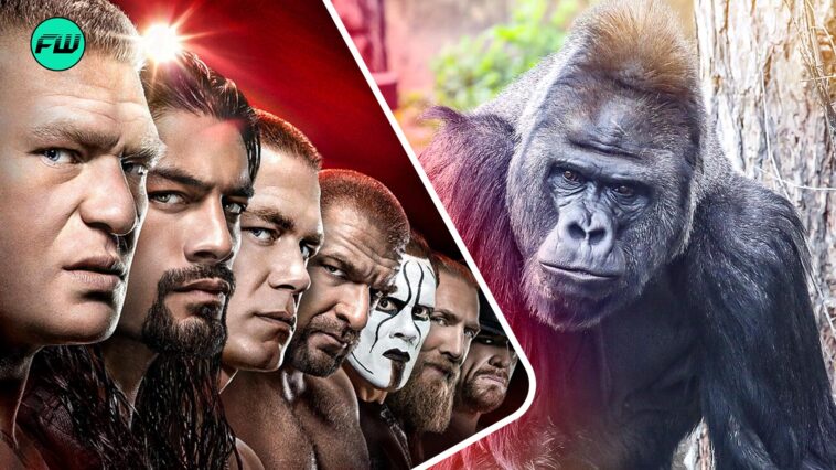 100 Men vs 1 Silverback Gorilla: WWE Stars Really Think Humans Can Beat ...