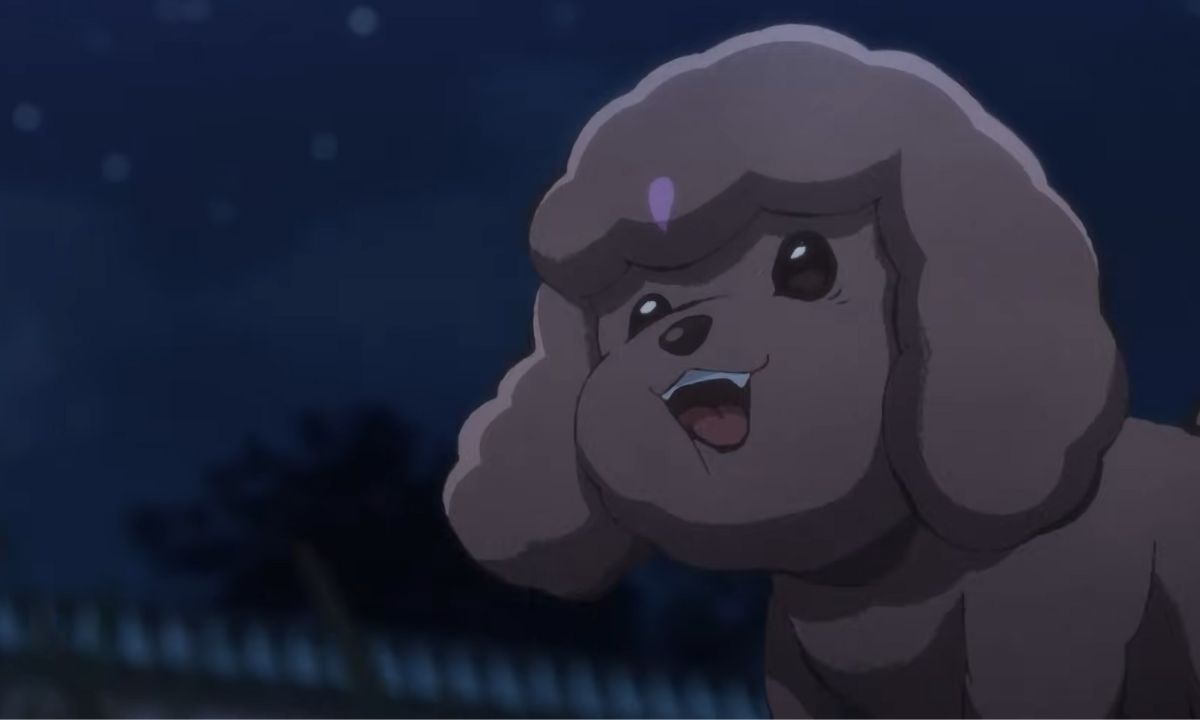 "Chinese Pokémon goes crazy": 'Pokémon' Has Found an Unexpected ...