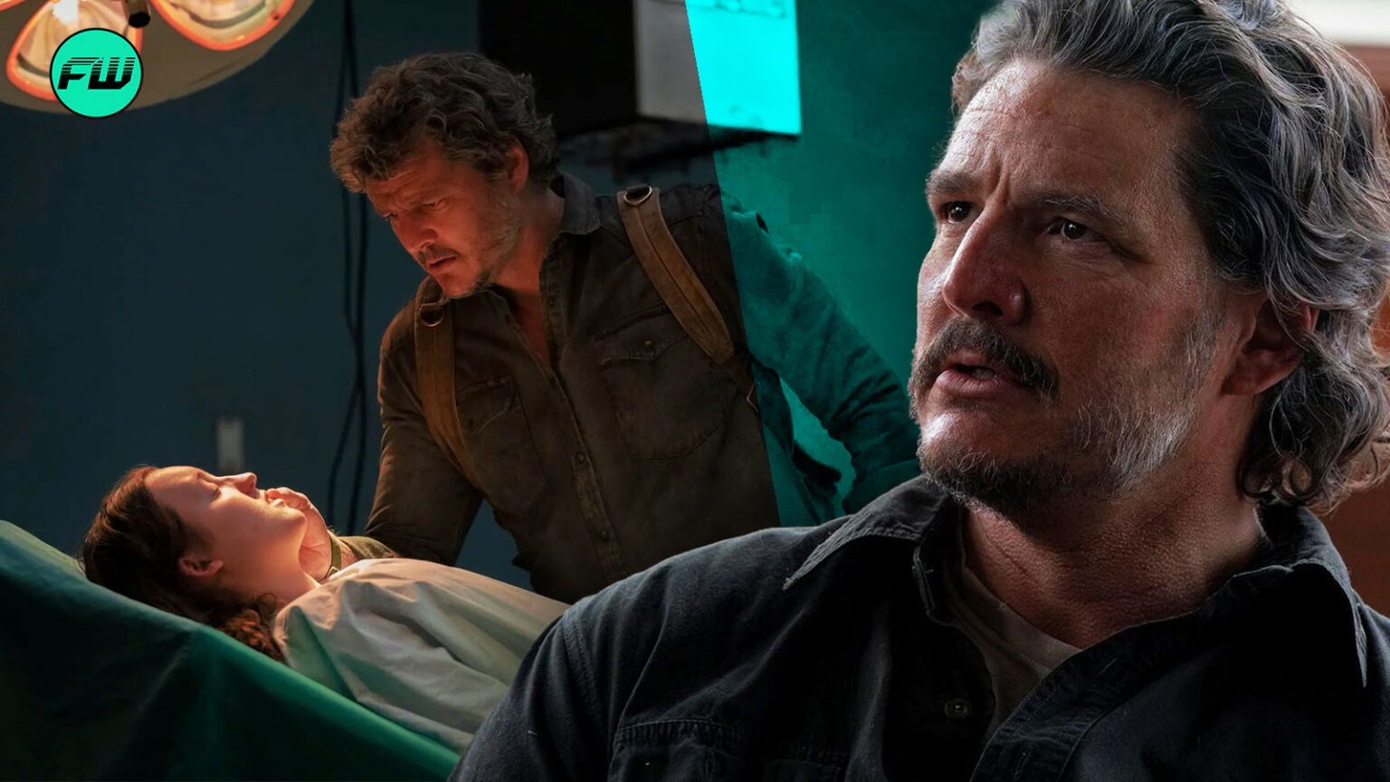 “They wouldn’t bite her”: Celebrity Doctor Reveals Why Joel Saving ...