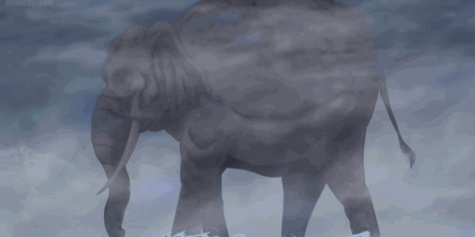 One Piece Theory: A Whole Army of Zuneshas Waits in the Florian ...