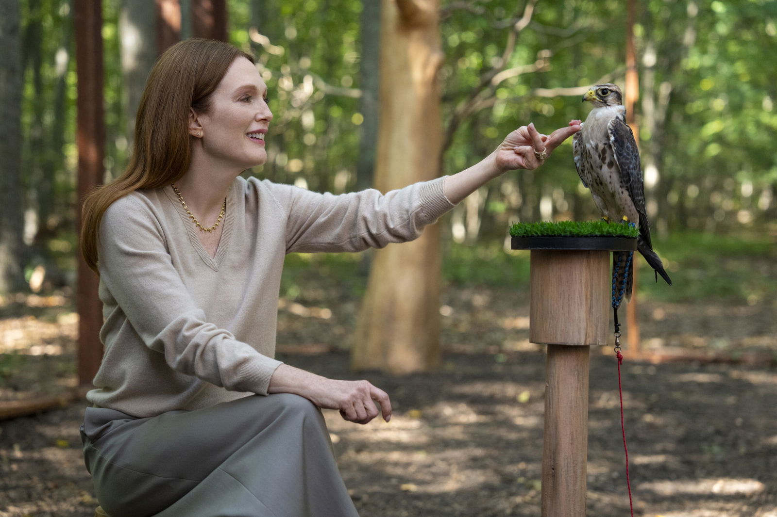 Sirens Review - A Guilty Pleasure of Soapy Shenanigans