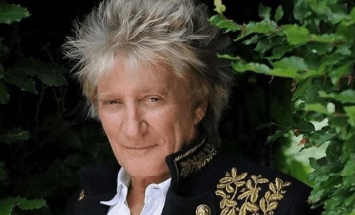 2 Divorces and 8 Kids Later, Rod Stewart Was Not Looking For Another ...