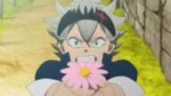 Black Clover Fans Only Want One Ending That Involves Asta and Noelle Getting Married