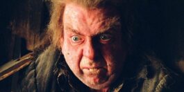 Every Known Animagus in Harry Potter, Ranked Least to Most Impressive