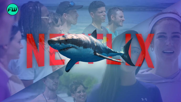 All The Sharks on Netflix: Release Date, Cast, Plot and All You Need to ...