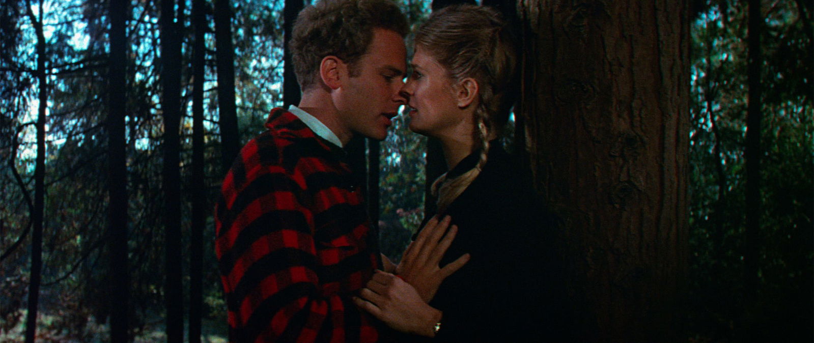 Carnal Knowledge (4K): Criterion Collection Review