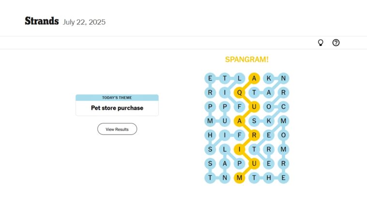 A Complete Guide to NYT Strands, Connections, Letter Boxed, and ...
