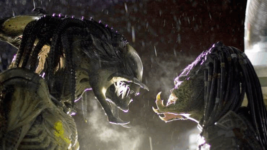 Every Predator Movie and How to Watch Them in Order Before Predator ...