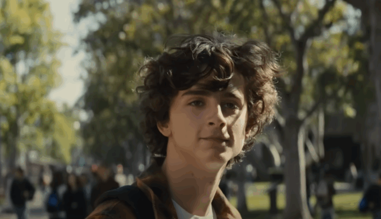 Timothée Chalamet Greatest Biopic Was in Steve Carell’s 7 Year Old ...