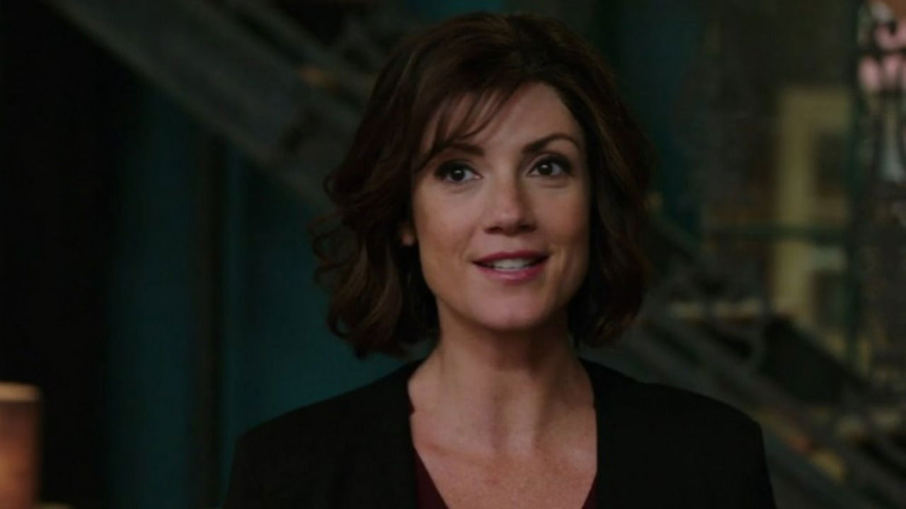 NCIS Star Zoe McLellan Went Missing With Her Kid: Did She Retire From ...